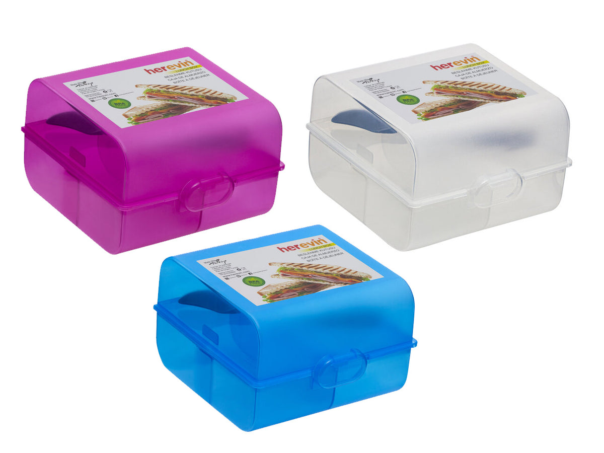 Double Transparent Lunch Box with Spoon – HouzeCart